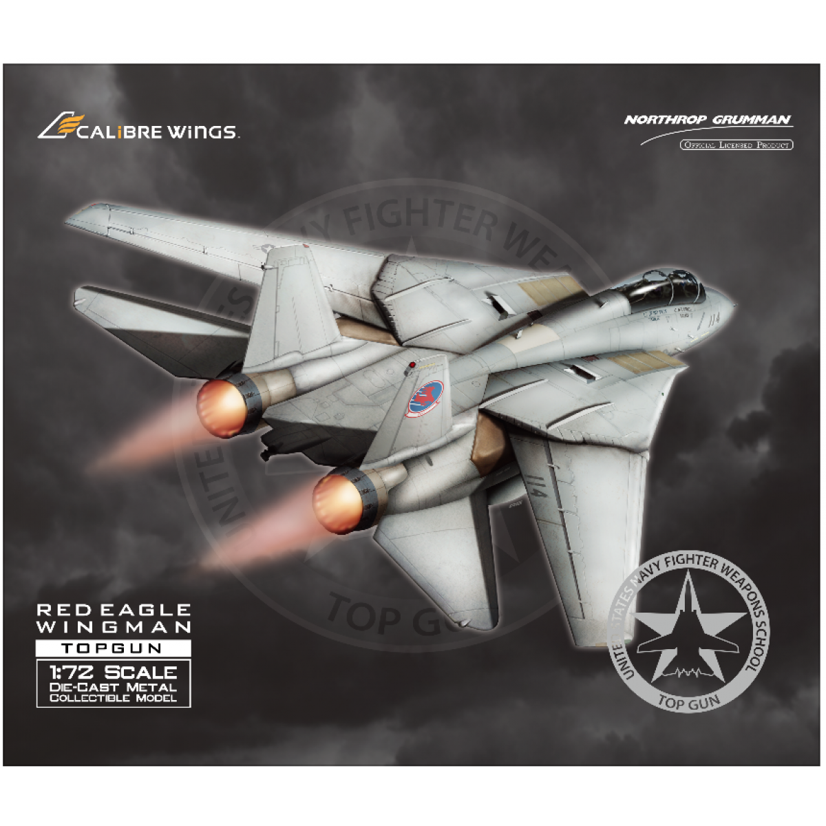 1/72 F-14A Red Eagle Wingman